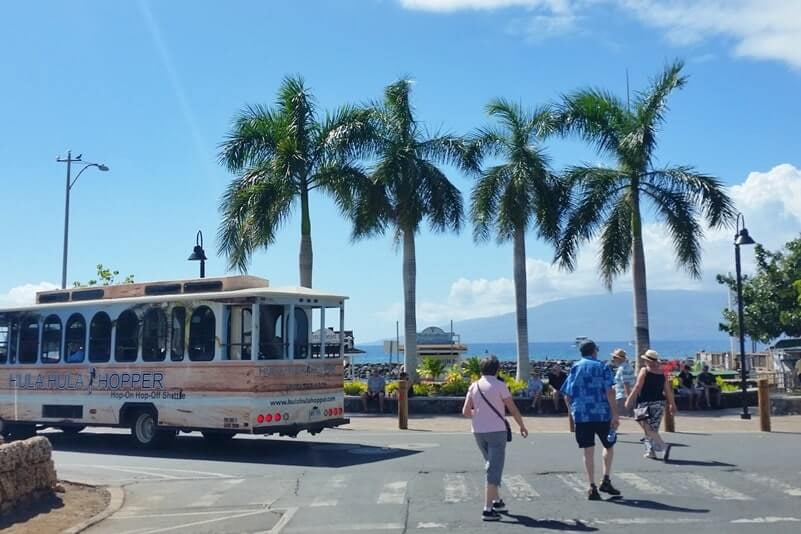 Do You Need a Car in Maui? Tips For Touring Maui On Foot